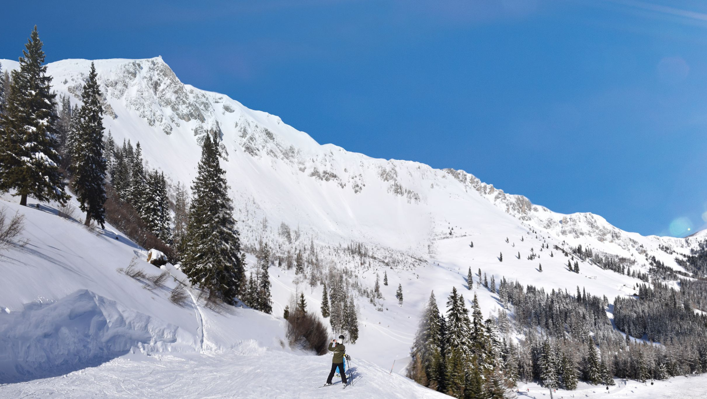 Brunnalm – Hohe Veitsch - Steiermark – Hier wird garantiert jeder fündig!